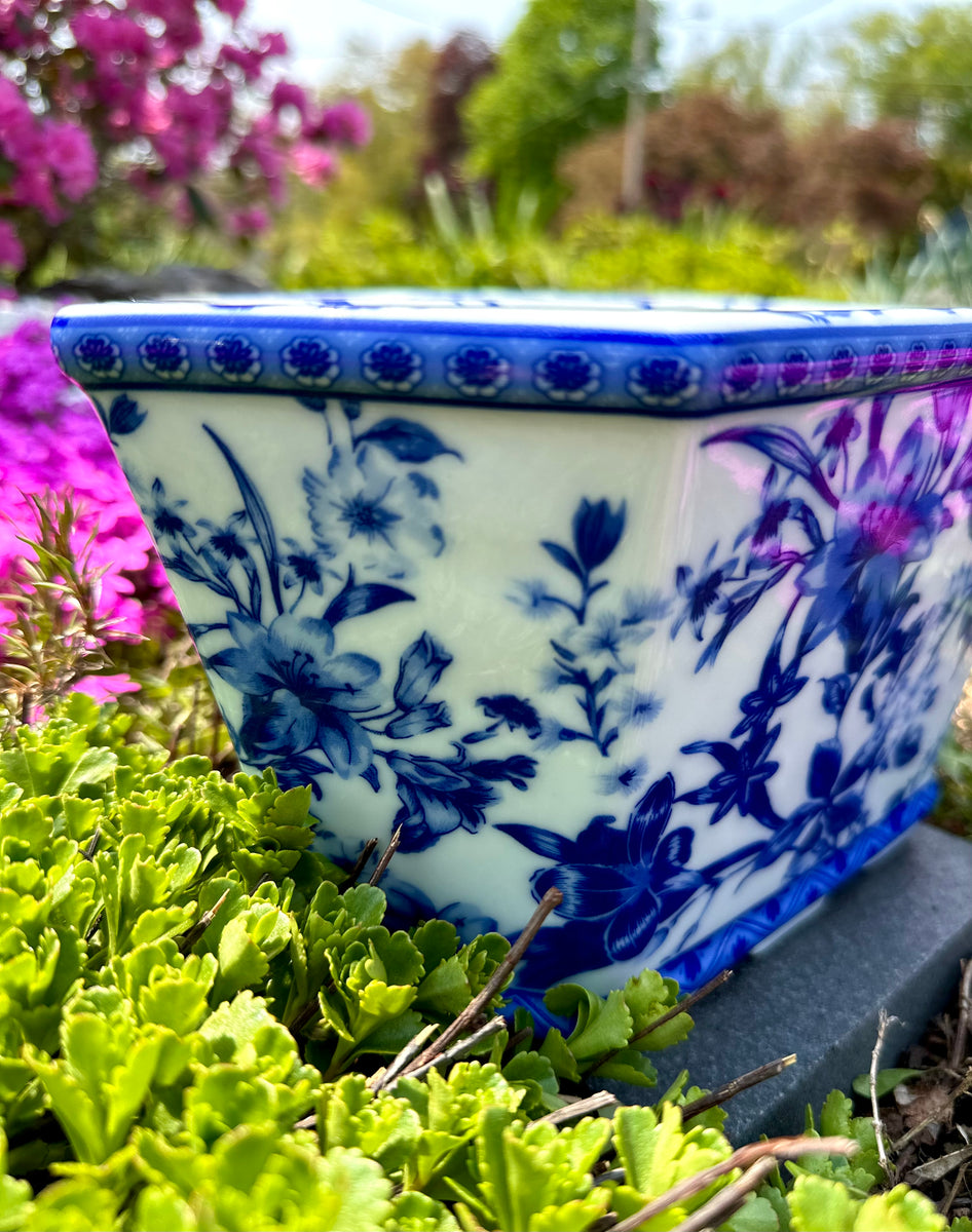 Porcelain Flower Cachepot – The Source Collection